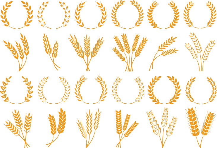 Barley Vector Images (over 37,000)