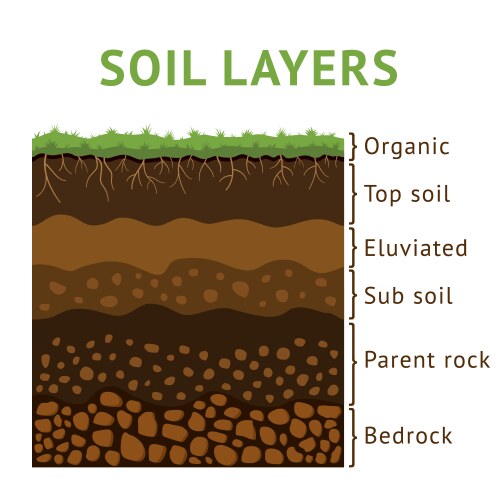 Soil Formation Vector Images (over 550)