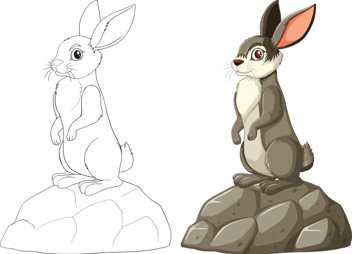 Cartoon Rabbit Eye Vector Images (over 3,600)