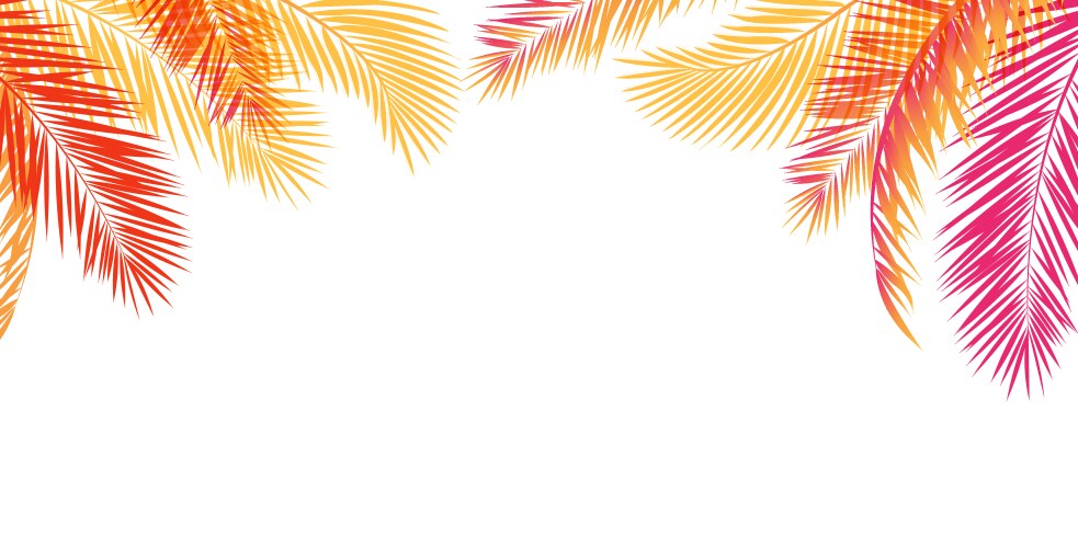 Green palm tree branch frame Royalty Free Vector Image