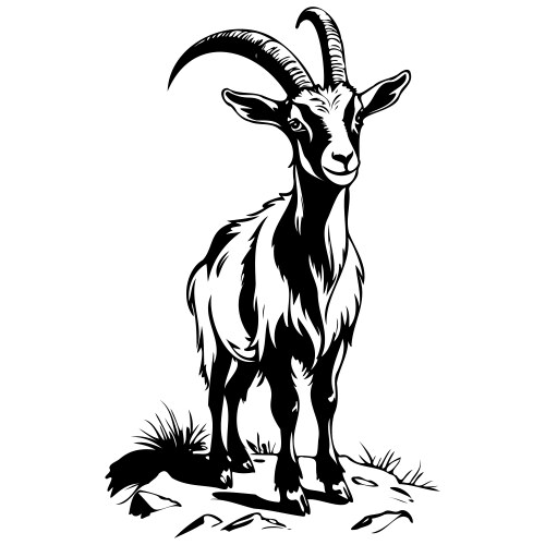 Alpine goat sitting hand drawn animal Royalty Free Vector
