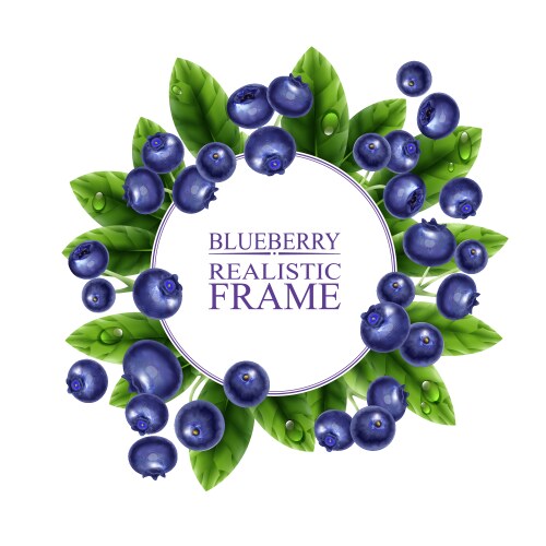 Blueberry realistic set Royalty Free Vector Image