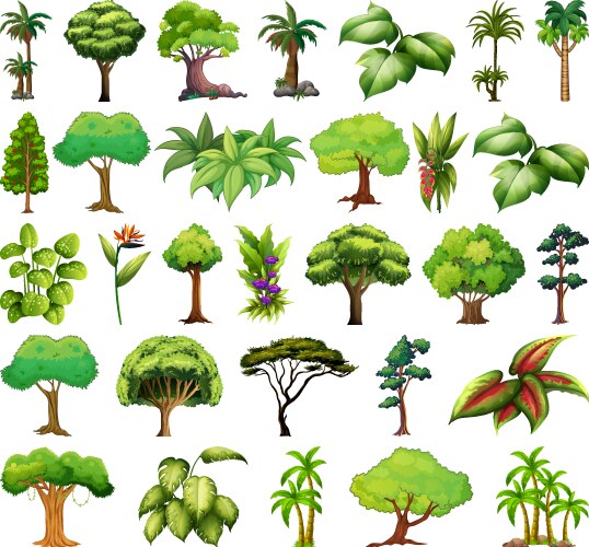 Collection of tropical trees palms and other Vector Image