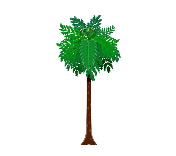 Cartoon Ferns Vector Images (over 3,100)