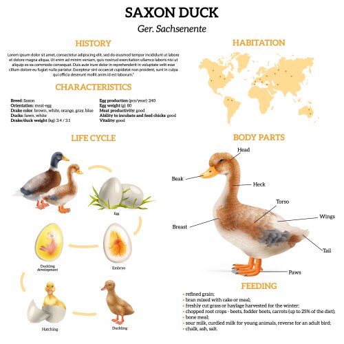 Realistic Infographics Vector Images (over 16,000)