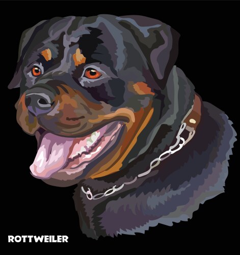 Rottweiler Royalty Free Vector Image - VectorStock