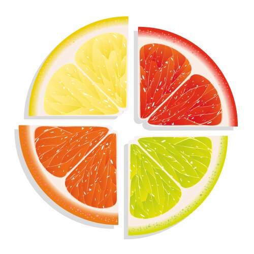 Citrus Vector Images (over 100,000)