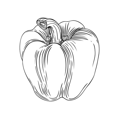 Capsicum Outline Vector Images (over 1,100)