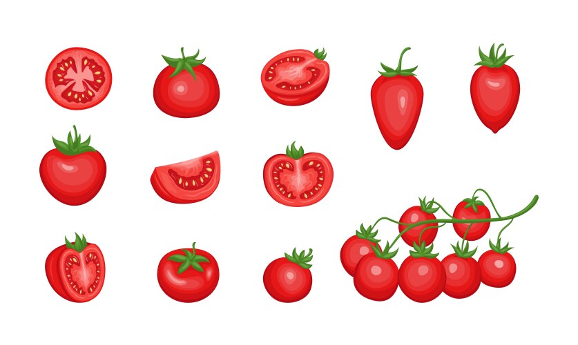 Stem Vegetables Vector Images (over 19,000)