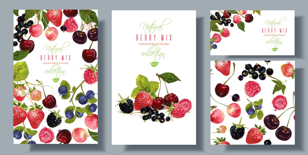 Berry mix composition Royalty Free Vector Image