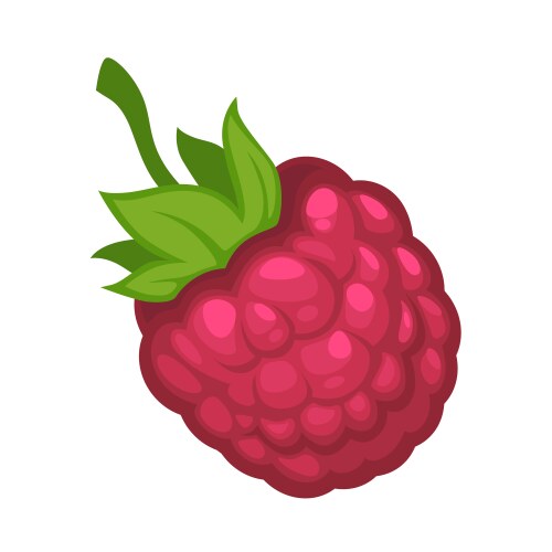 Raspberry Royalty Free Vector Image - VectorStock
