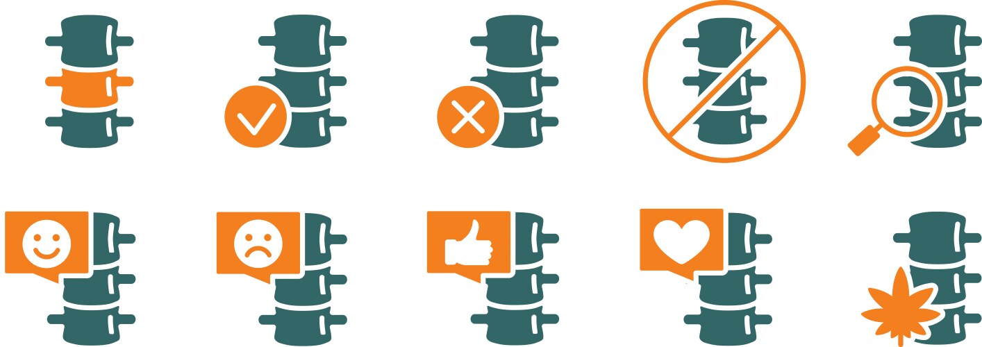 Vertebral column spine infographics Royalty Free Vector