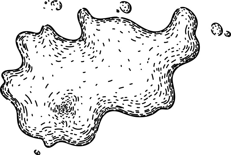 Water puddle set sketch hand drawn Royalty Free Vector Image