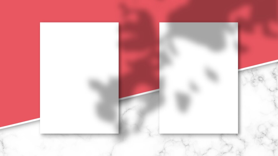 A4 paper mockup with overlay leaf shadow from Vector Image