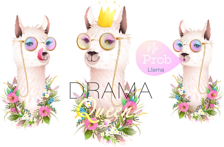 Cute lama set objects collection design elements Vector Image