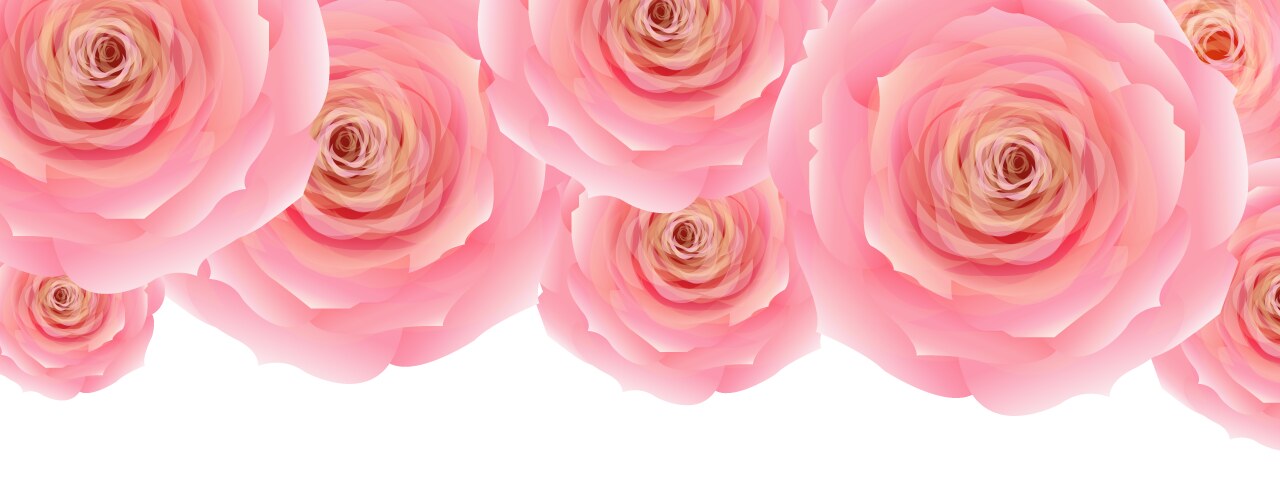 Pink rose background Royalty Free Vector Image