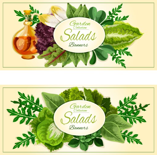 Salad leaves and herbs pattern cover Royalty Free Vector