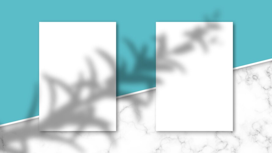 A4 paper mockup with overlay leaf shadow from Vector Image