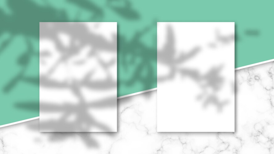 A4 paper mockup with overlay leaf shadow from Vector Image
