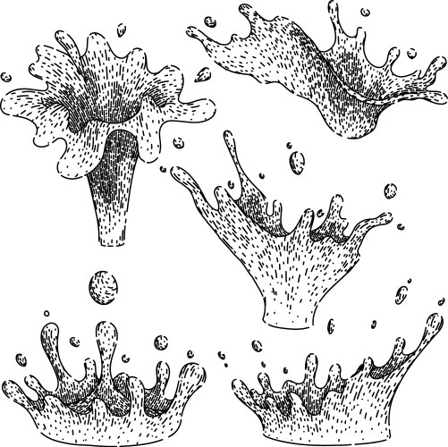 Water puddle set sketch hand drawn Royalty Free Vector Image