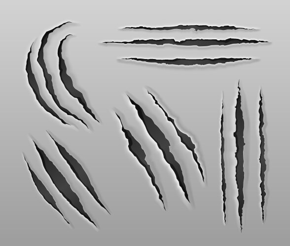 Tiger Claw Vector Images (over 6,100)