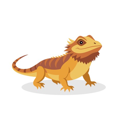 animated bearded dragon