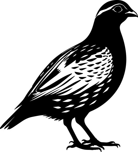 Flying Quail Silhouette