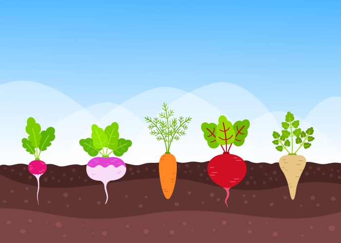 Crops Cartoon Vector Images (over 21,000)