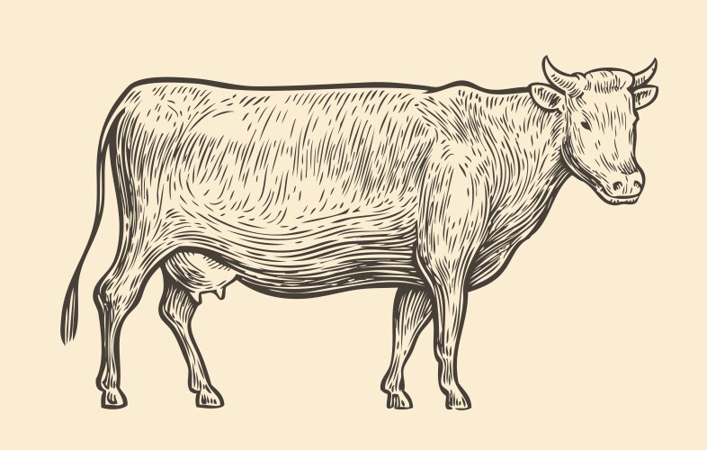 Cow Print Vector Images (over 9,400)