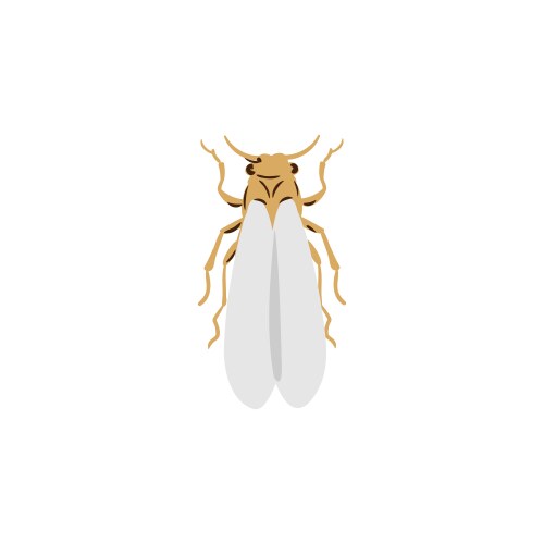 Insect Drawing Vector Images (over 70,000)