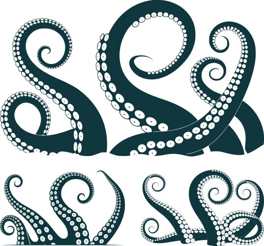 Octopus Stencil Pattern