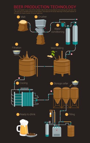 Whiskey production process infographic Royalty Free Vector