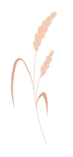 Dry Grass Vector Images (over 5,300)