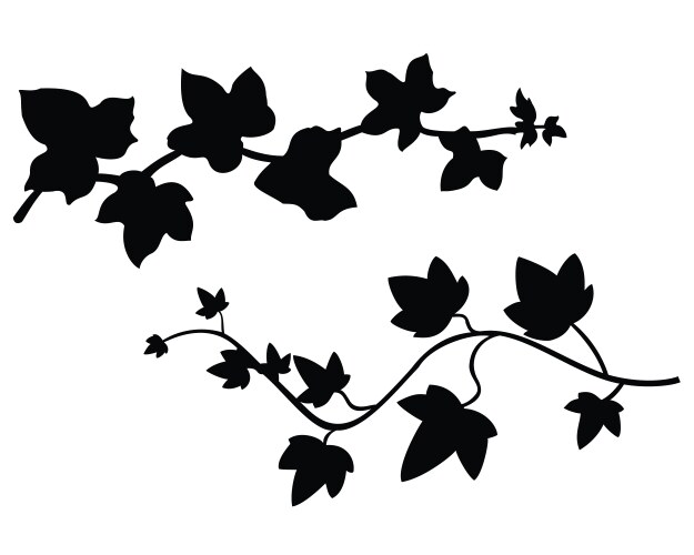 Border Ivy Vector Images (over 1,400)