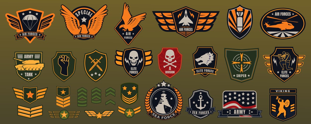 Army air forces airborne units badges and chevron Vector Image