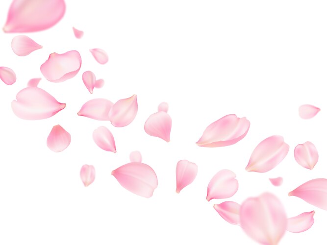 Pink Flowers Overlay Vector Images (over 280)