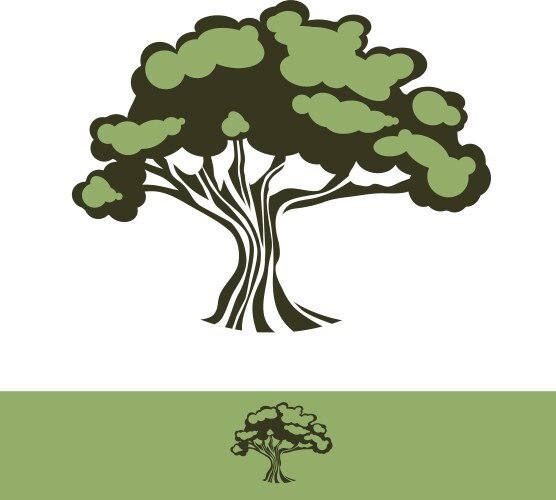 Oak Tree Vector Images (over 59,000)