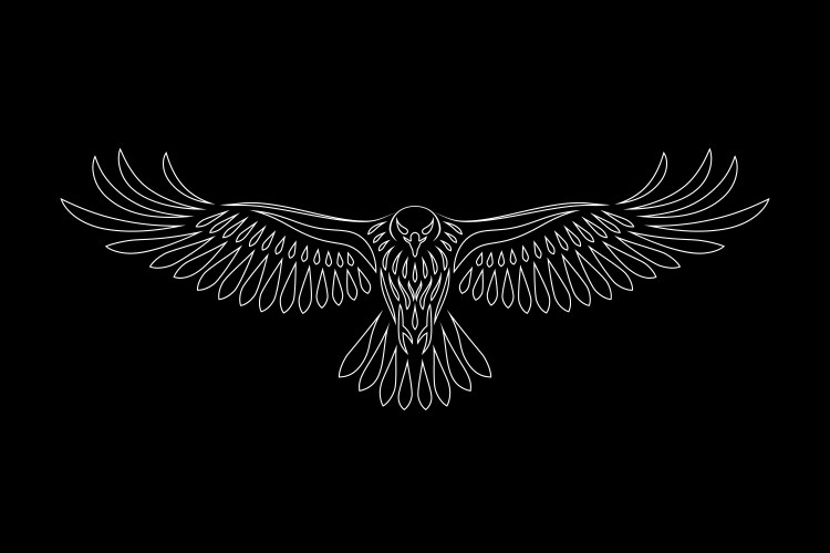 Engraving of stylized hawk on white background Vector Image
