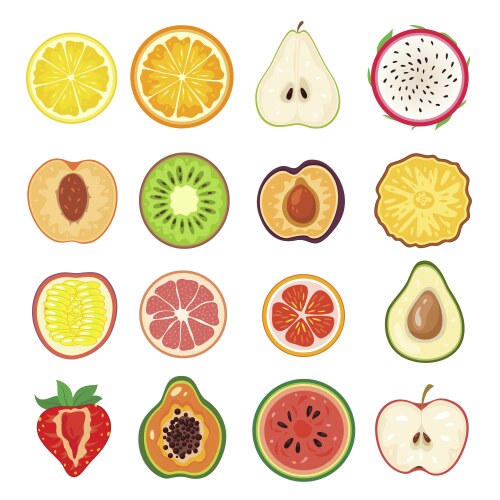 Half fruits circle icons cute cartoon healthy Vector Image