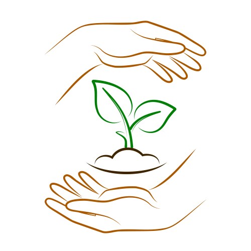 Hands with plant sprout farmer hand holding soil Vector Image