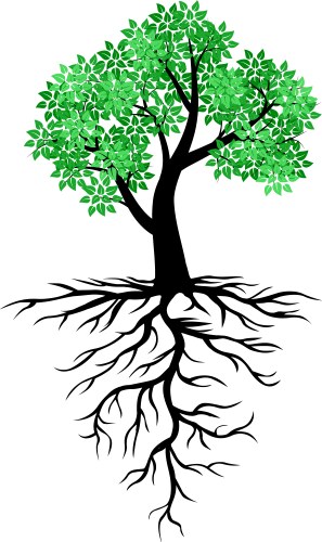 Plant Root Vector Images (over 50,000)