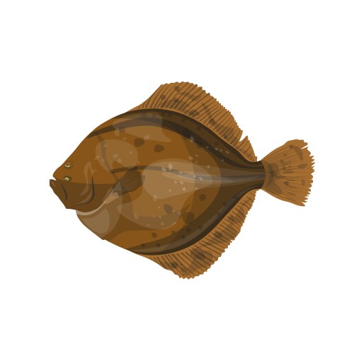 Fluke Vector Images (over 320)
