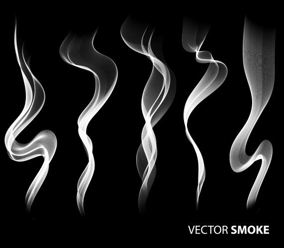 Realistic smoke design set black background Vector Image