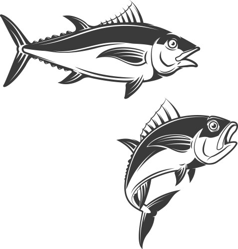 Tuna Vector Images (over 32,000)