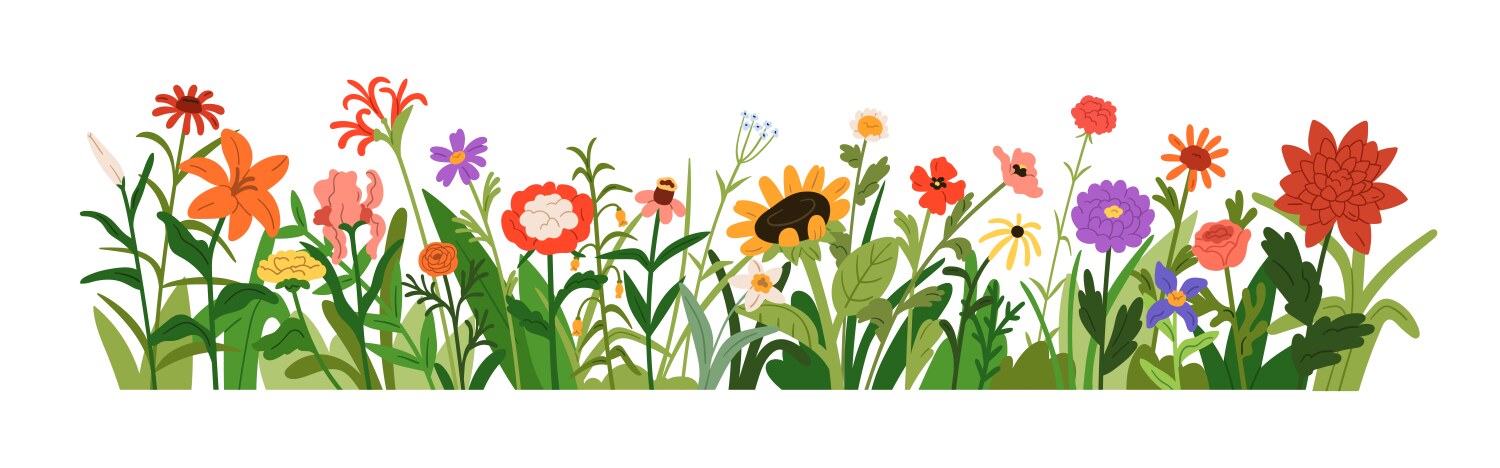 Floral Meadow Border Royalty Free Vector Image