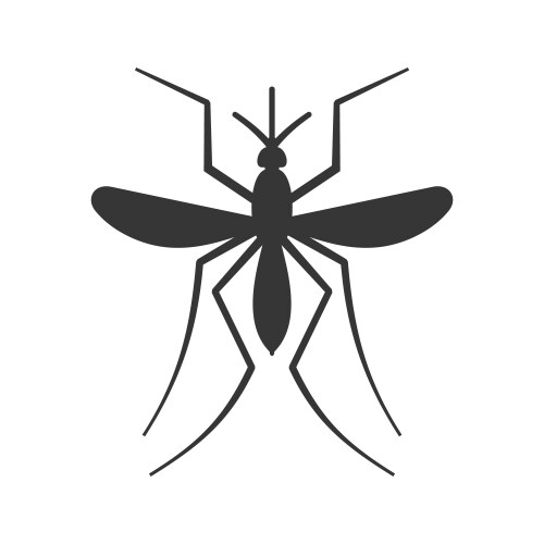 Mosquito Vector Images (over 16,000)