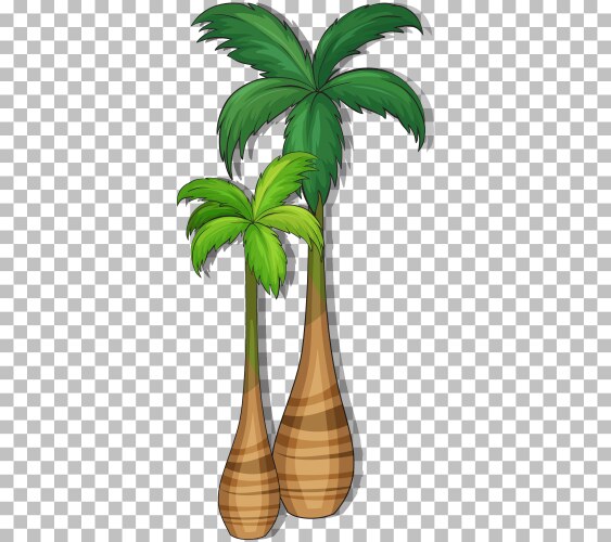 Palm trees on transparent background Royalty Free Vector