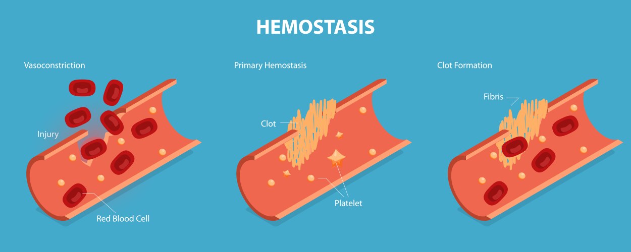 Coagulation Vector Images (over 1,200)
