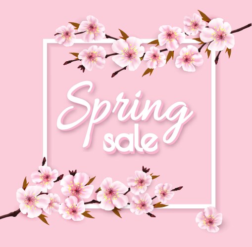 Spring nature background with sakura japan cherry Vector Image