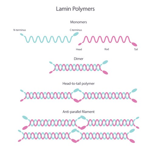 Polymer Vector Images (over 2,800)